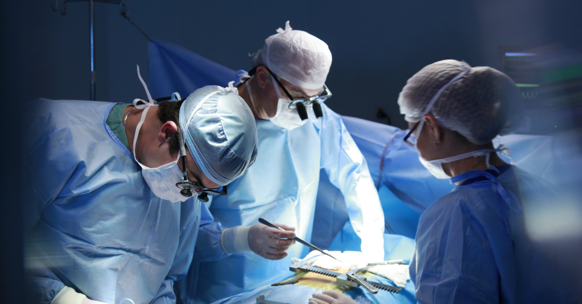 Essential insights into Data Center GPU performance and applications | Flexential