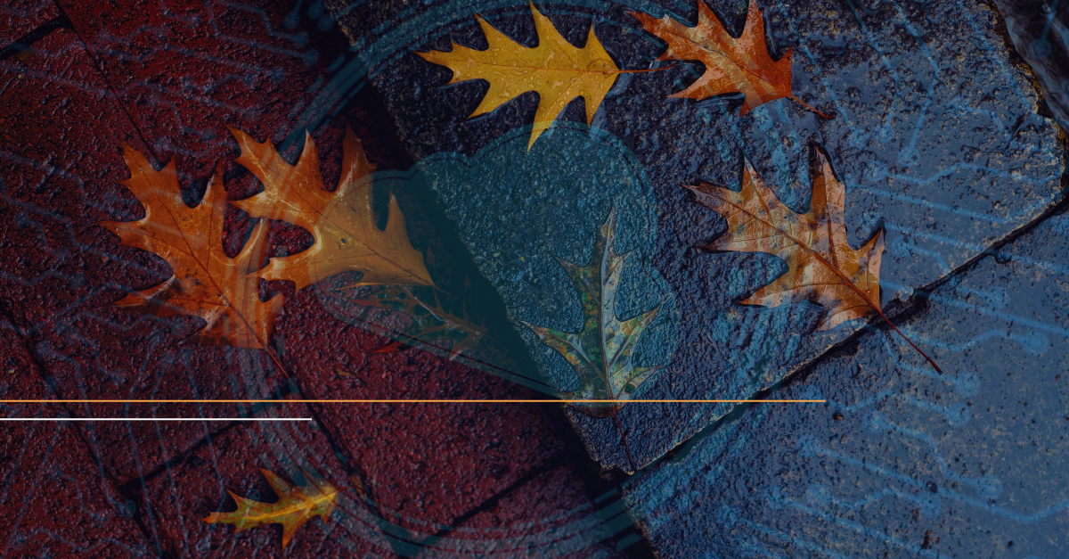 Oct Broadcom VMware Change Impact | Flexential